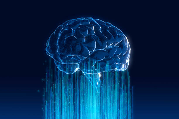 About – Advocacy for Neuro Rights